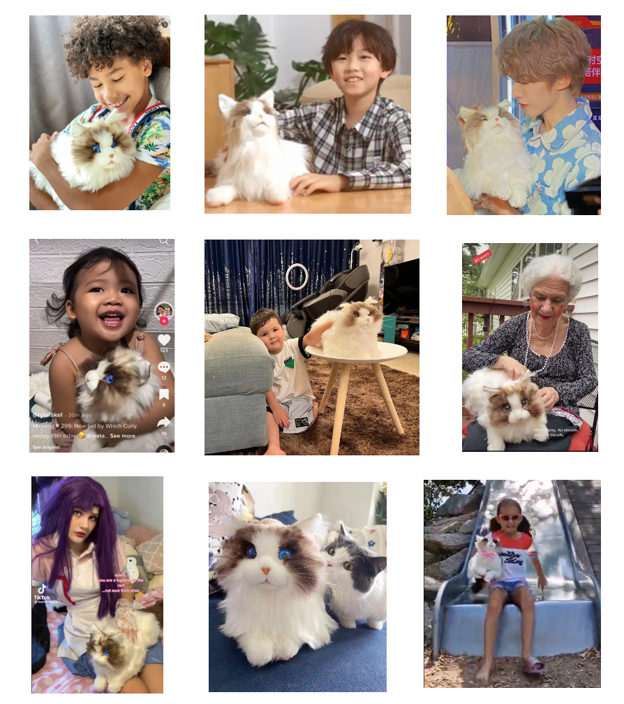 MetaCat – Interactive Smart Pet for Playful Companionship - First ...