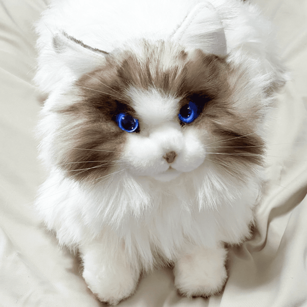 MetaCat – Interactive Smart Pet for Playful Companionship - First ...
