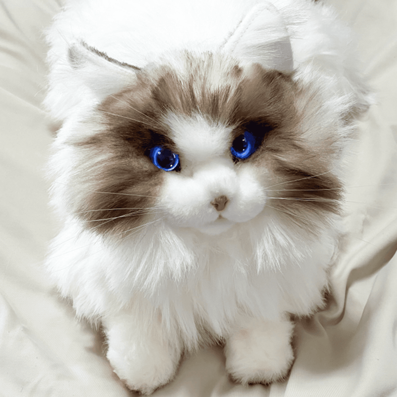 MetaCat – Interactive Smart Pet for Playful Companionship - First ...